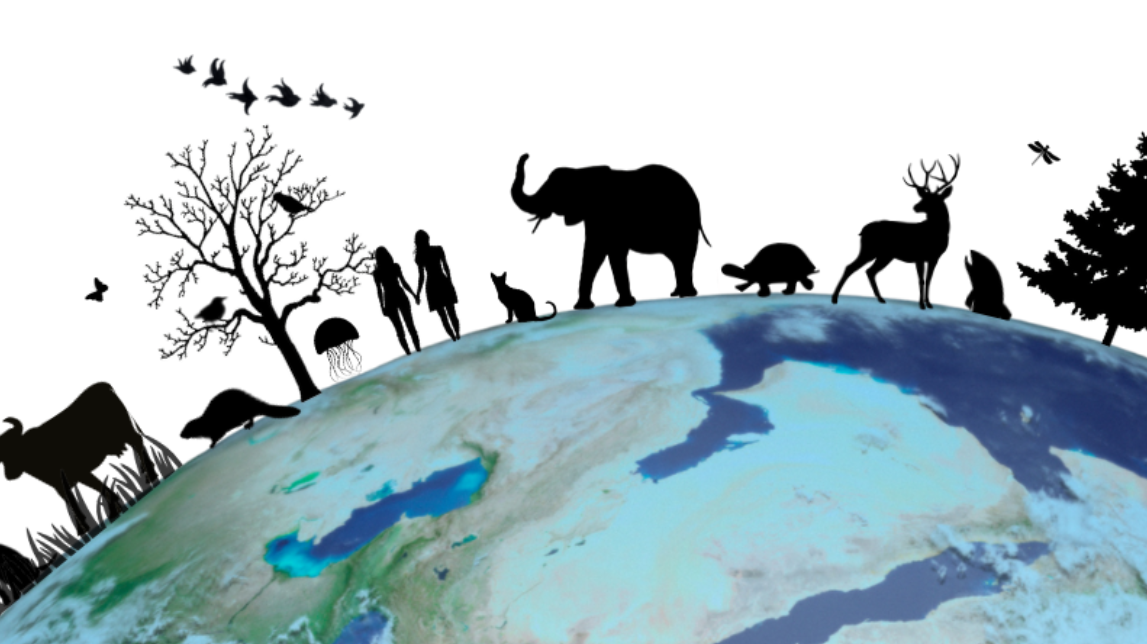 International Multispecies Methods Research Symposium: Shifting ...